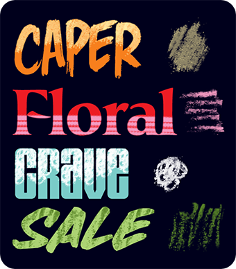 Letterhead Fonts / Downloads / Sample Brushes