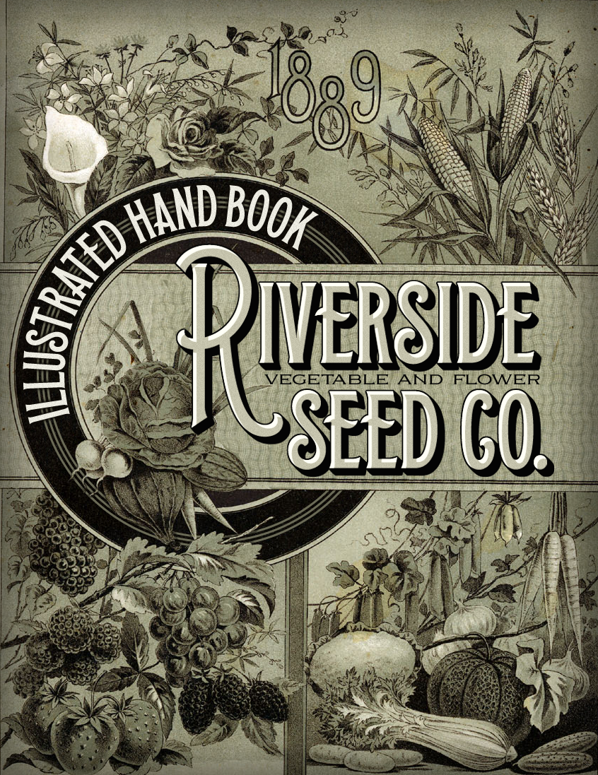 Letterhead Fonts / LHF Elixir / Vintage Western Fonts